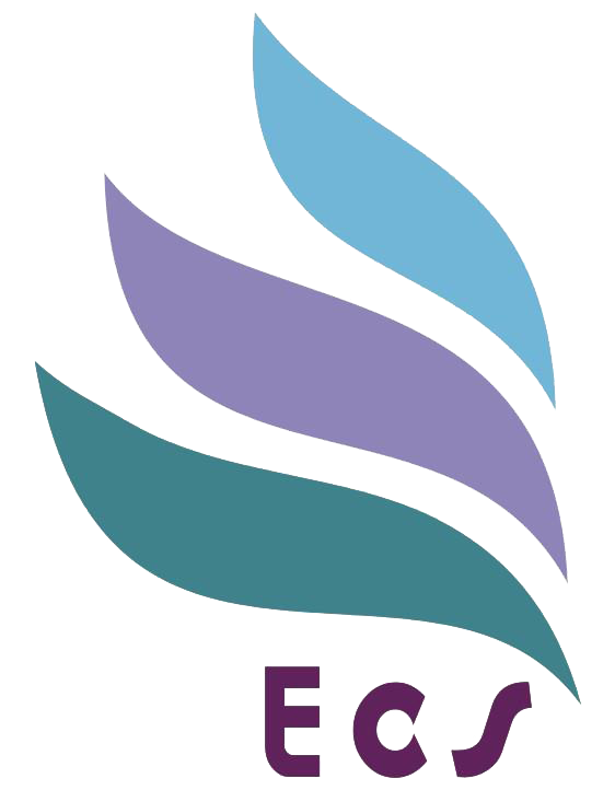 ECS India – Business & Finance Consulting Company